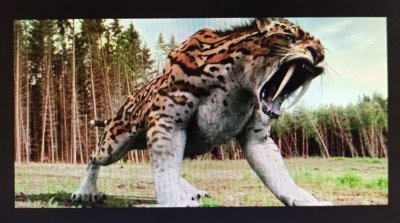 Tigre dientes de sable