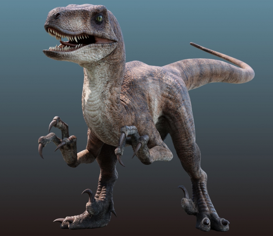 Velociraptor